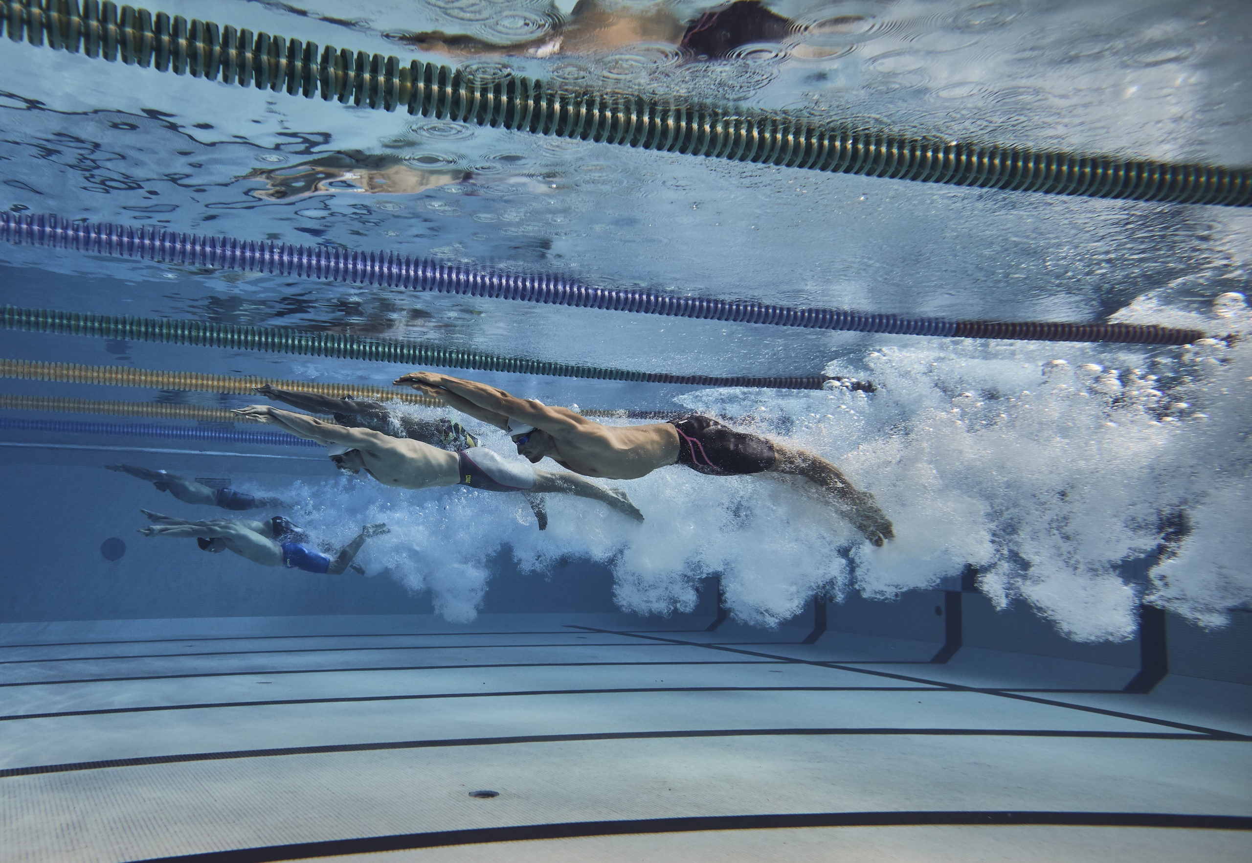 Championnats de France de natation | Cercle des Nageurs de Marseille